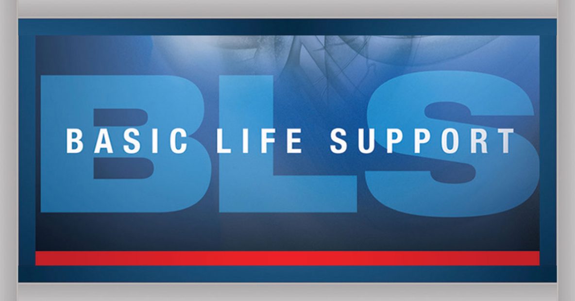 11/04/2025 AHA BLS CPR for Health Care Providers and Students ...